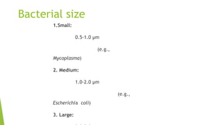 Bacterial Structure (Microbiology ).pptx
