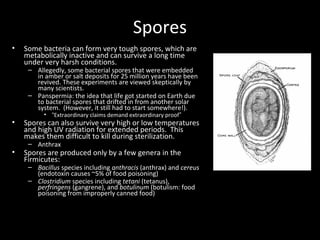 Bacterial structures | PPT | Biological Sciences | Science