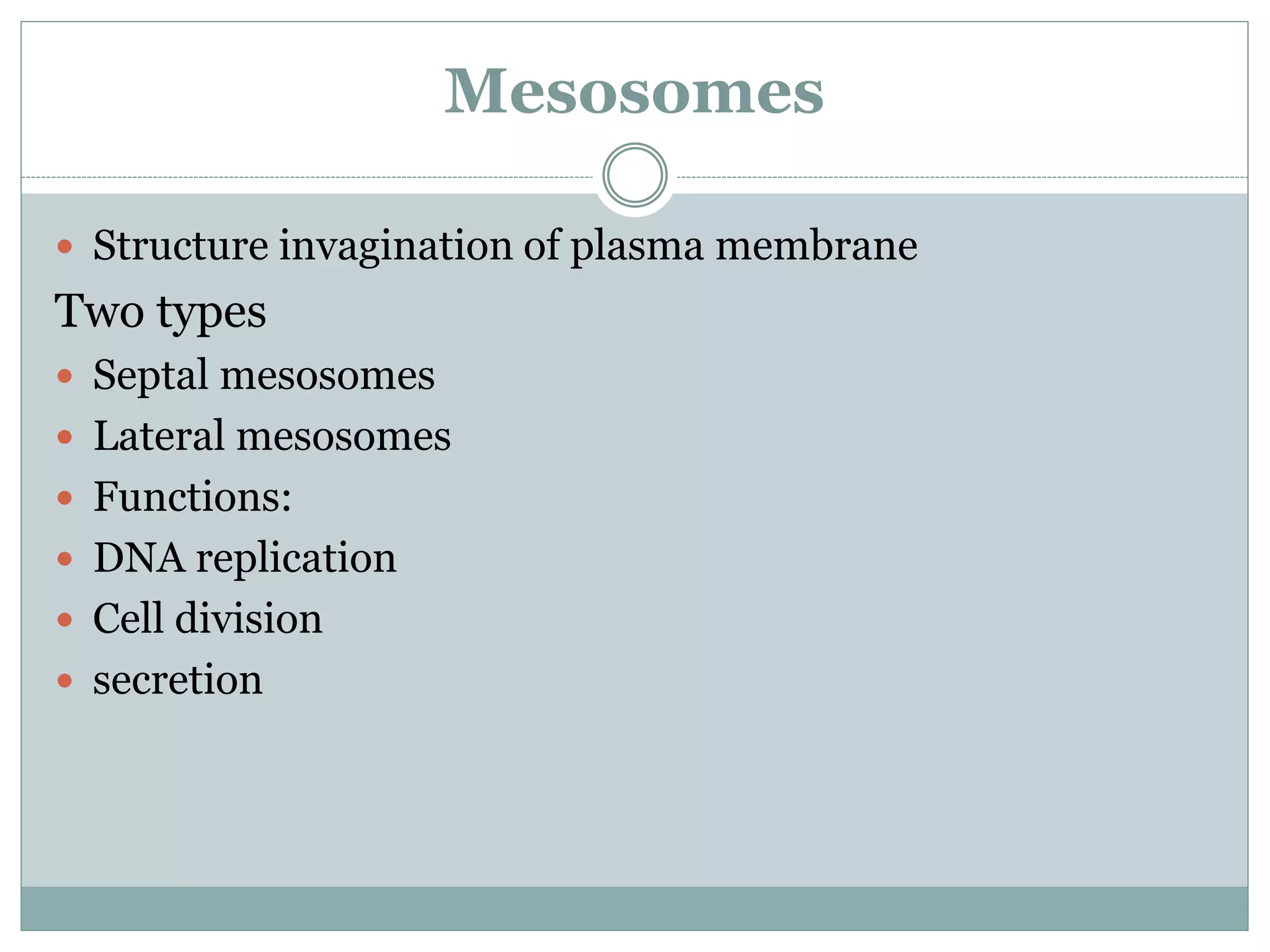 Bacterial structures and their functions | PPTX