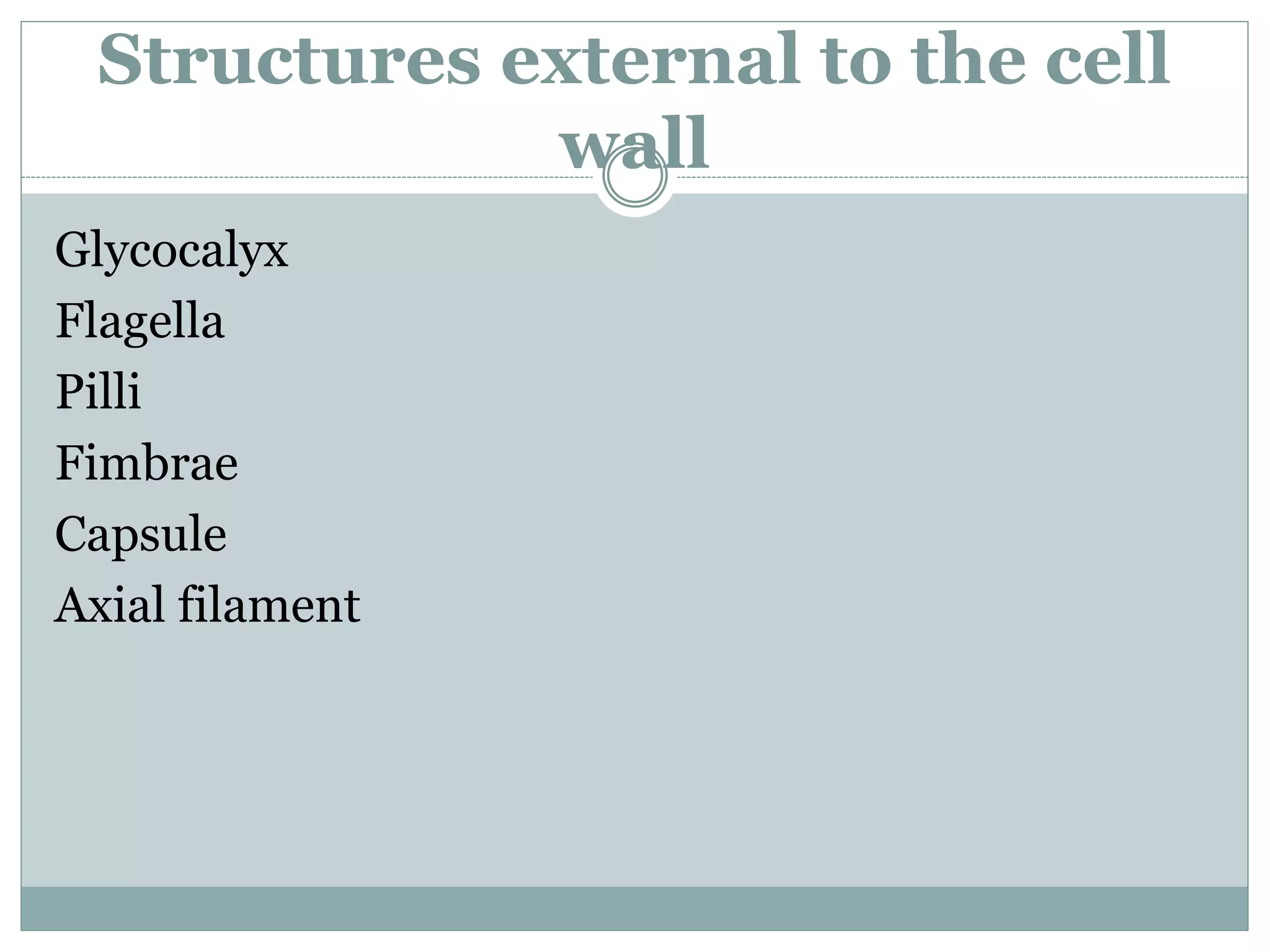Bacterial structures and their functions | PPTX