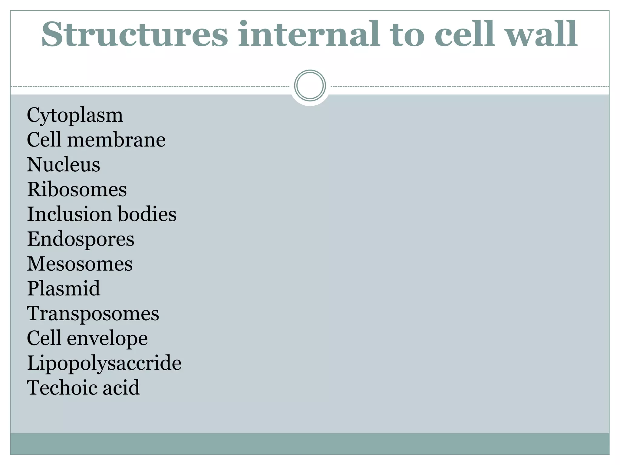 Bacterial structures and their functions | PPTX