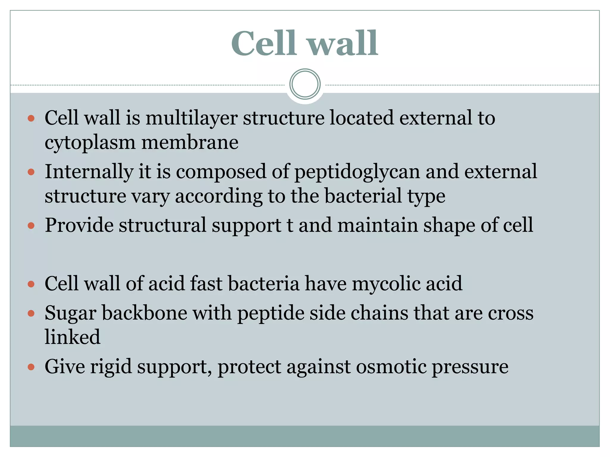 Bacterial structures and their functions | PPTX