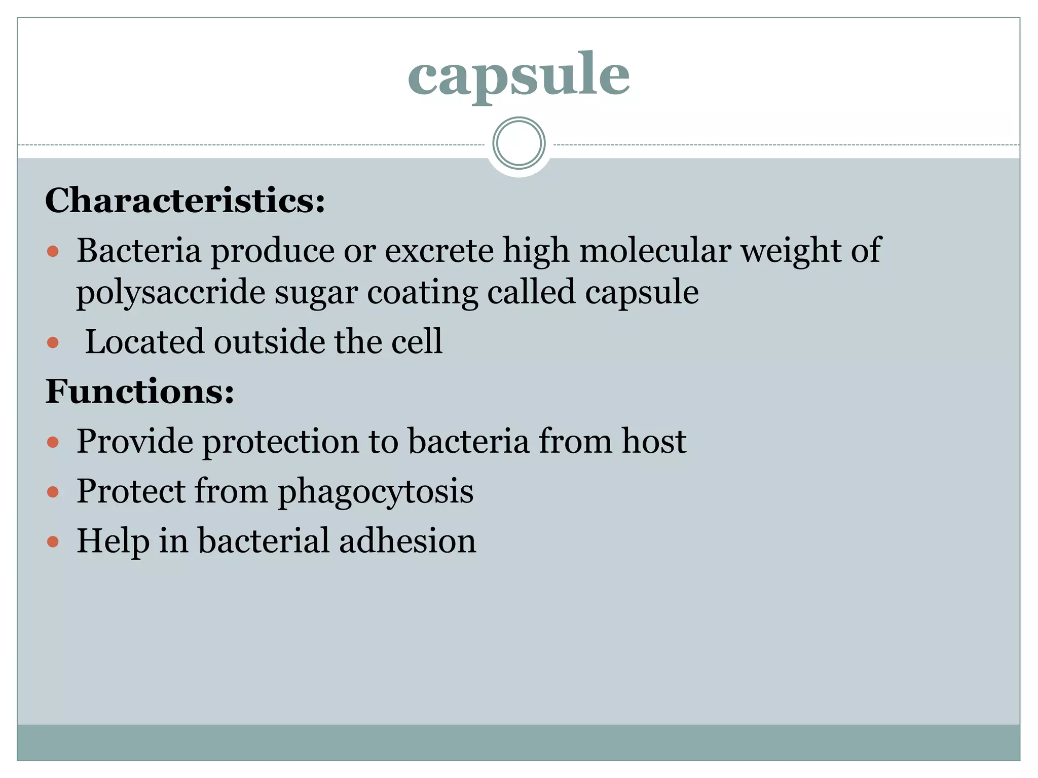 Bacterial structures and their functions | PPTX