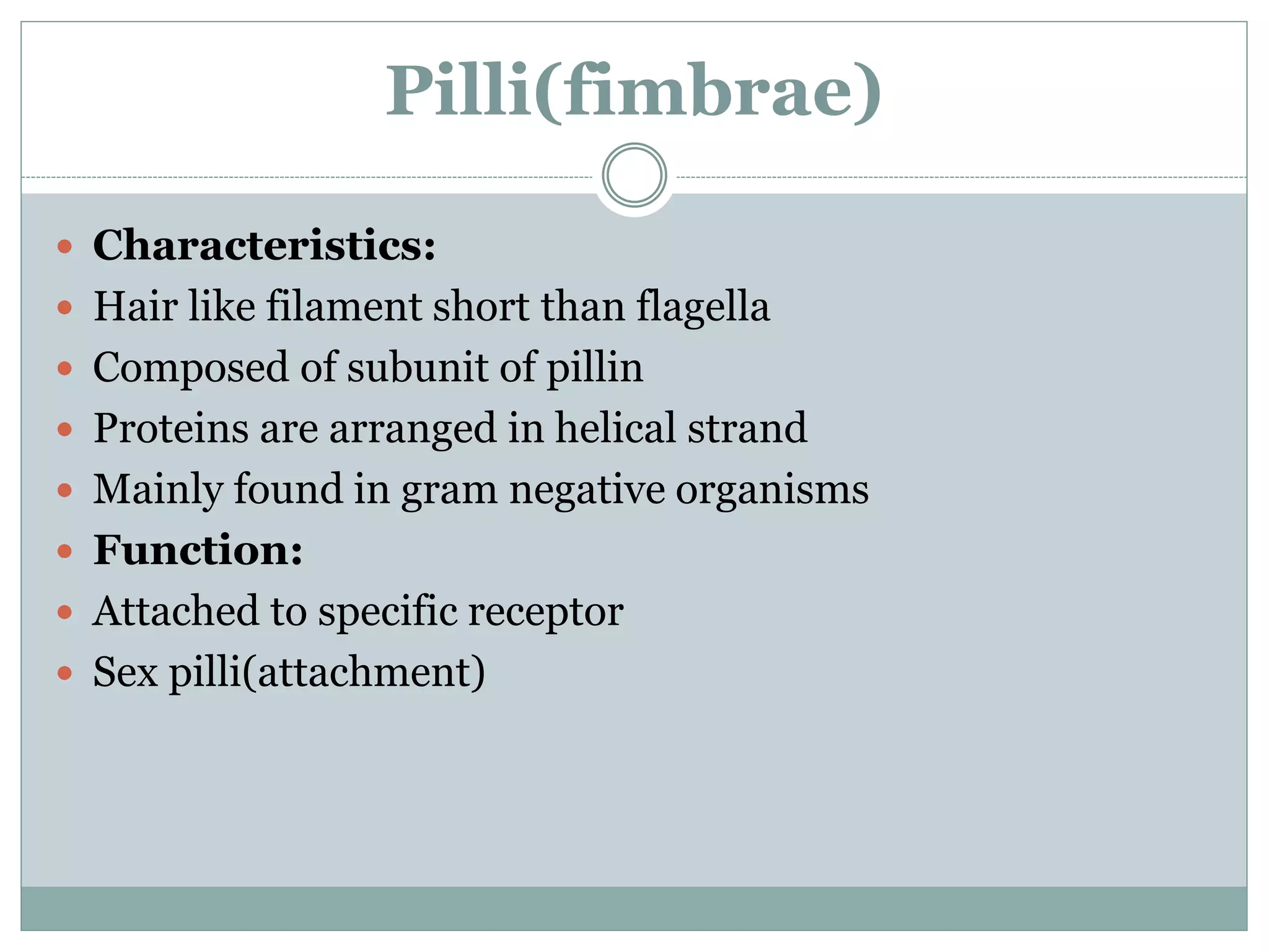 Bacterial structures and their functions | PPTX