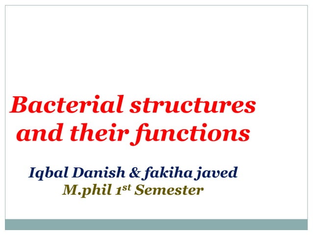 Bacterial structures and their functions | PPTX