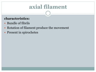 Bacterial structures and their functions | PPTX