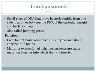 Bacterial structures and their functions | PPTX