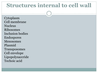 Bacterial structures and their functions | PPTX