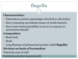 Bacterial structures and their functions | PPTX
