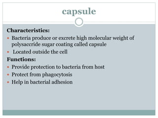 Bacterial structures and their functions | PPTX