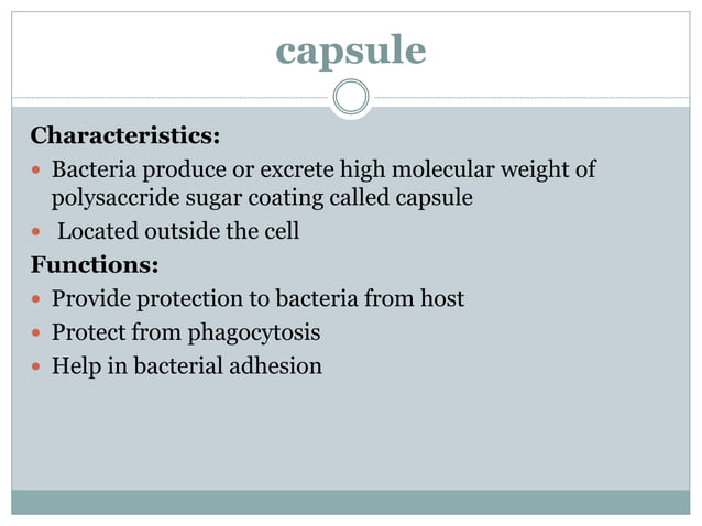 Bacterial structures and their functions | PPTX