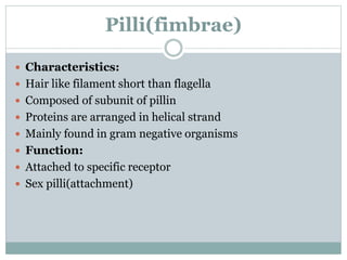 Bacterial structures and their functions | PPTX