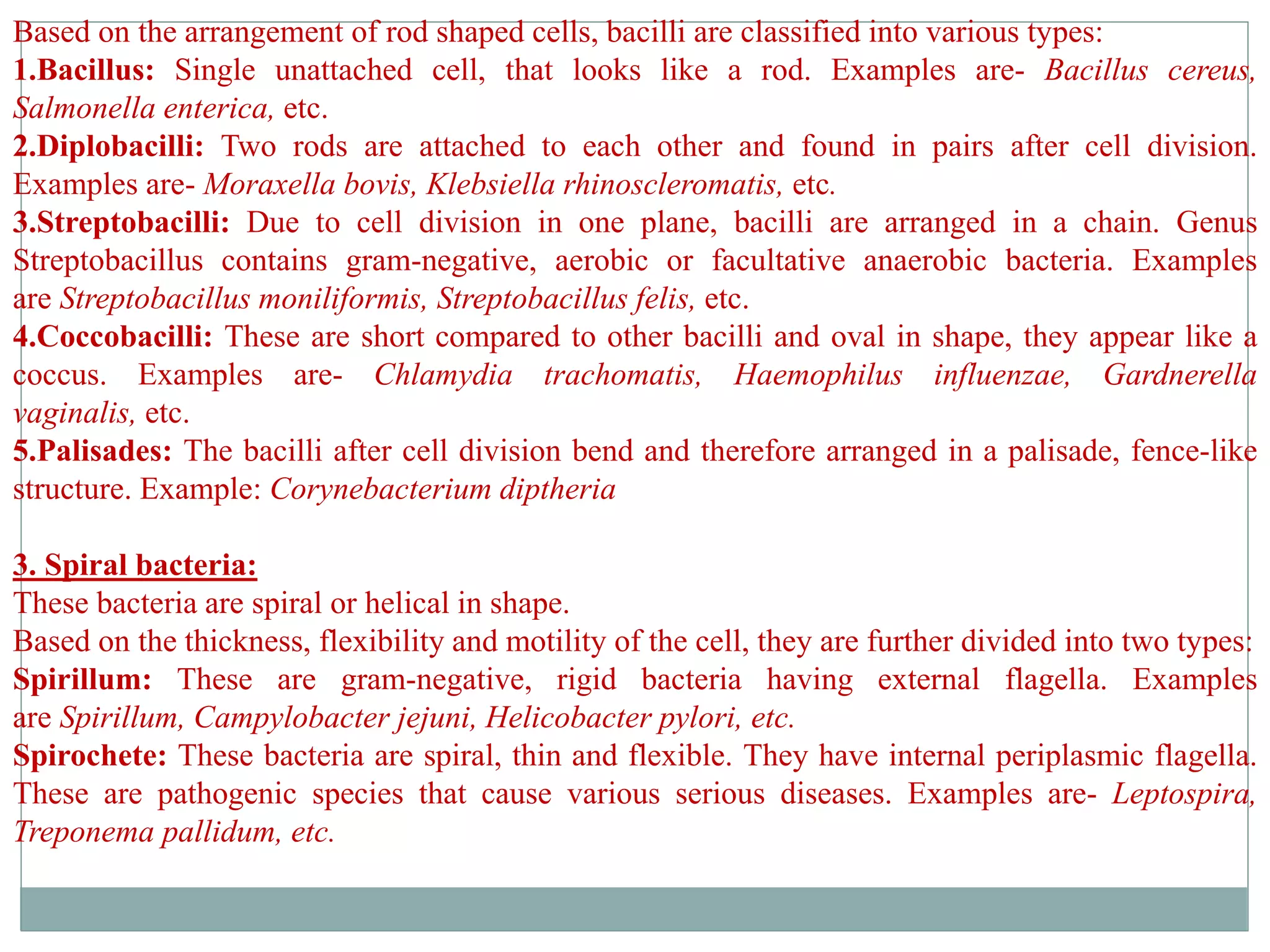 Bacterial Structurte and Morphology.pptx