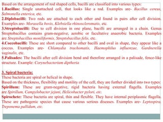 Bacterial Structurte and Morphology.pptx