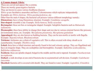 Bacterial Structurte and Morphology.pptx