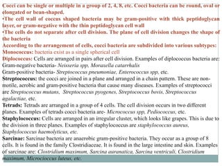 Bacterial Structurte and Morphology.pptx