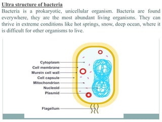 Bacterial Structurte and Morphology.pptx