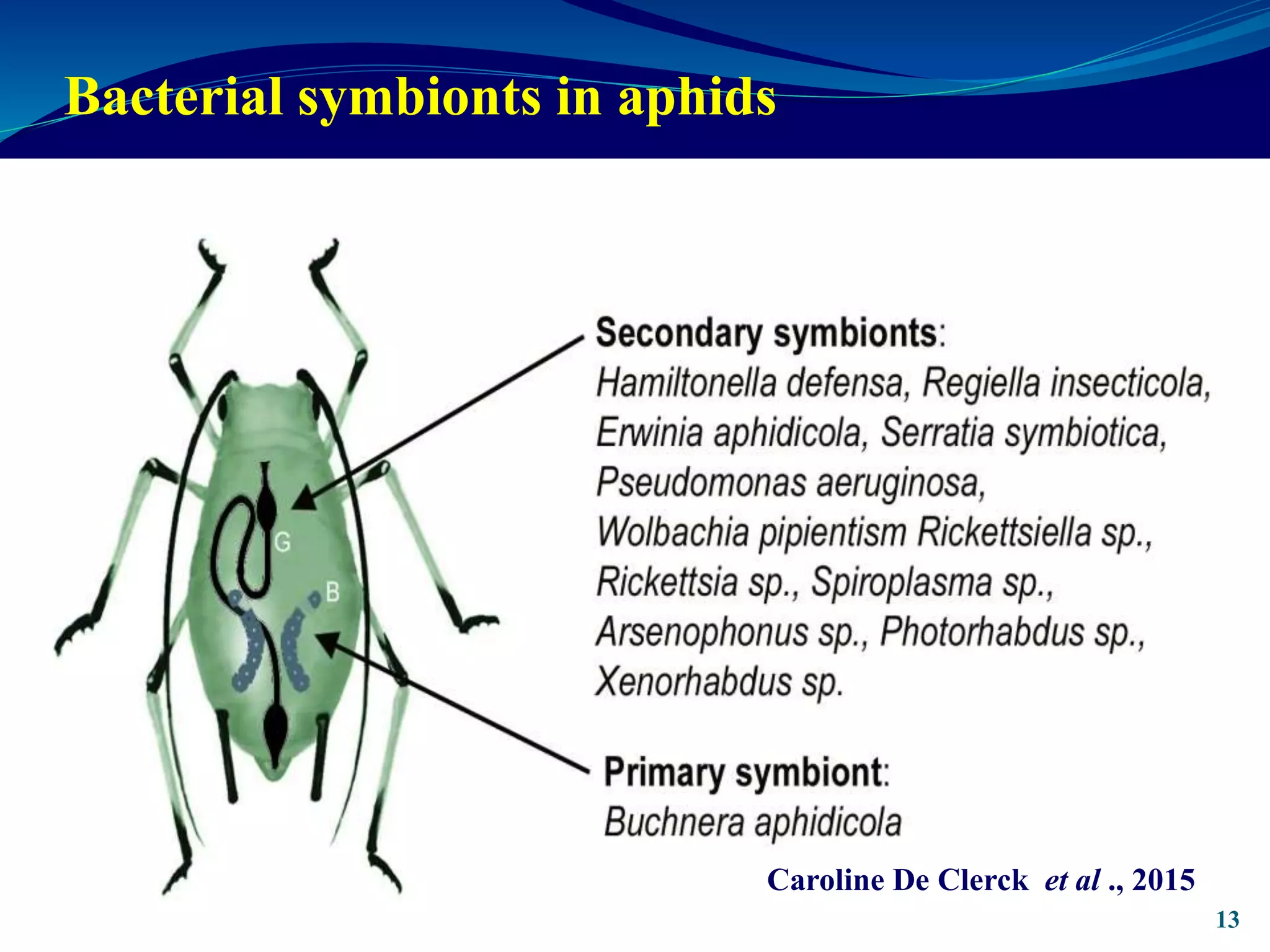 Bacterial symbionts in vector and its role in plant virus transmission ...