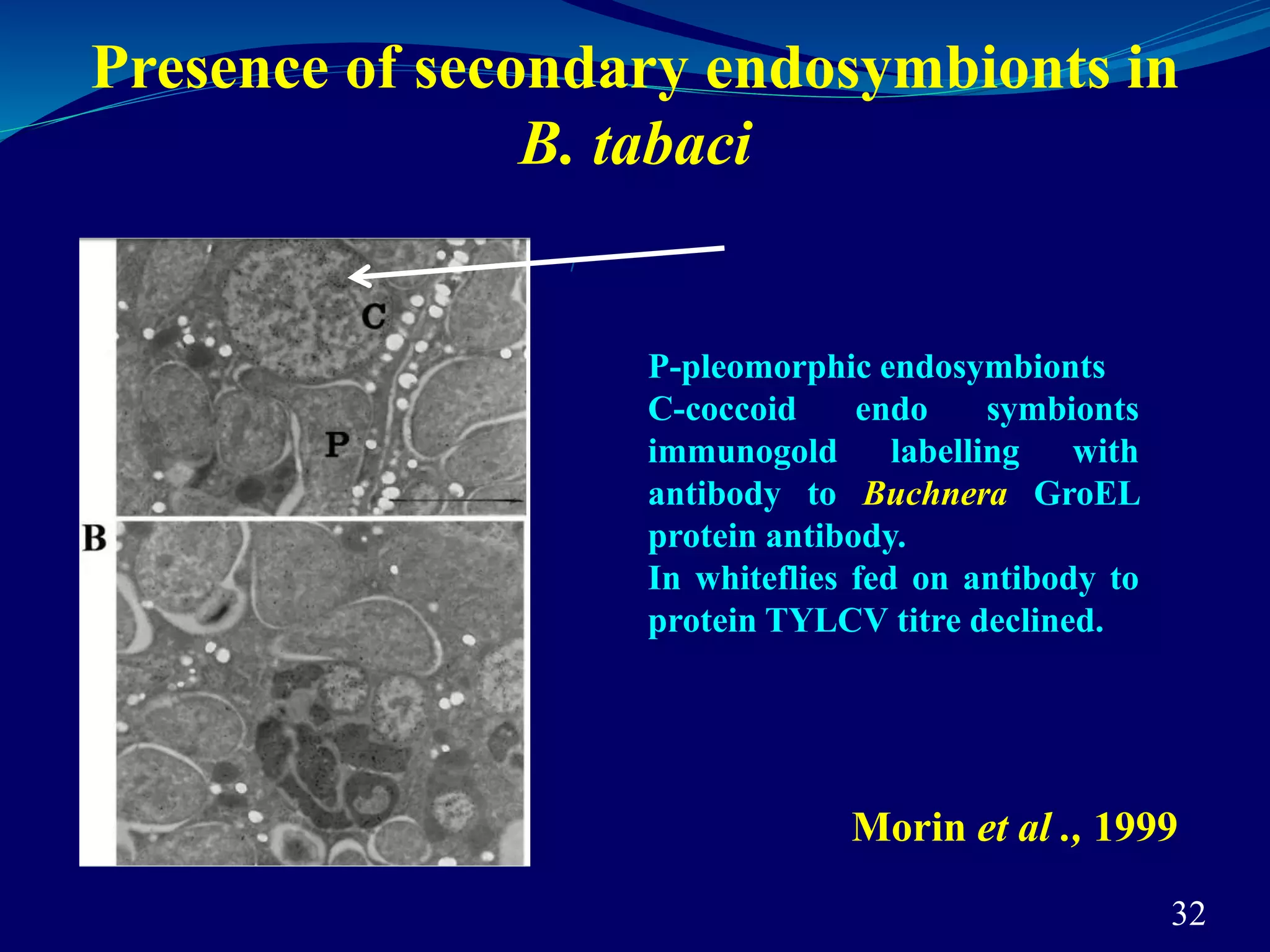 Bacterial symbionts in vector and its role in plant virus transmission ...