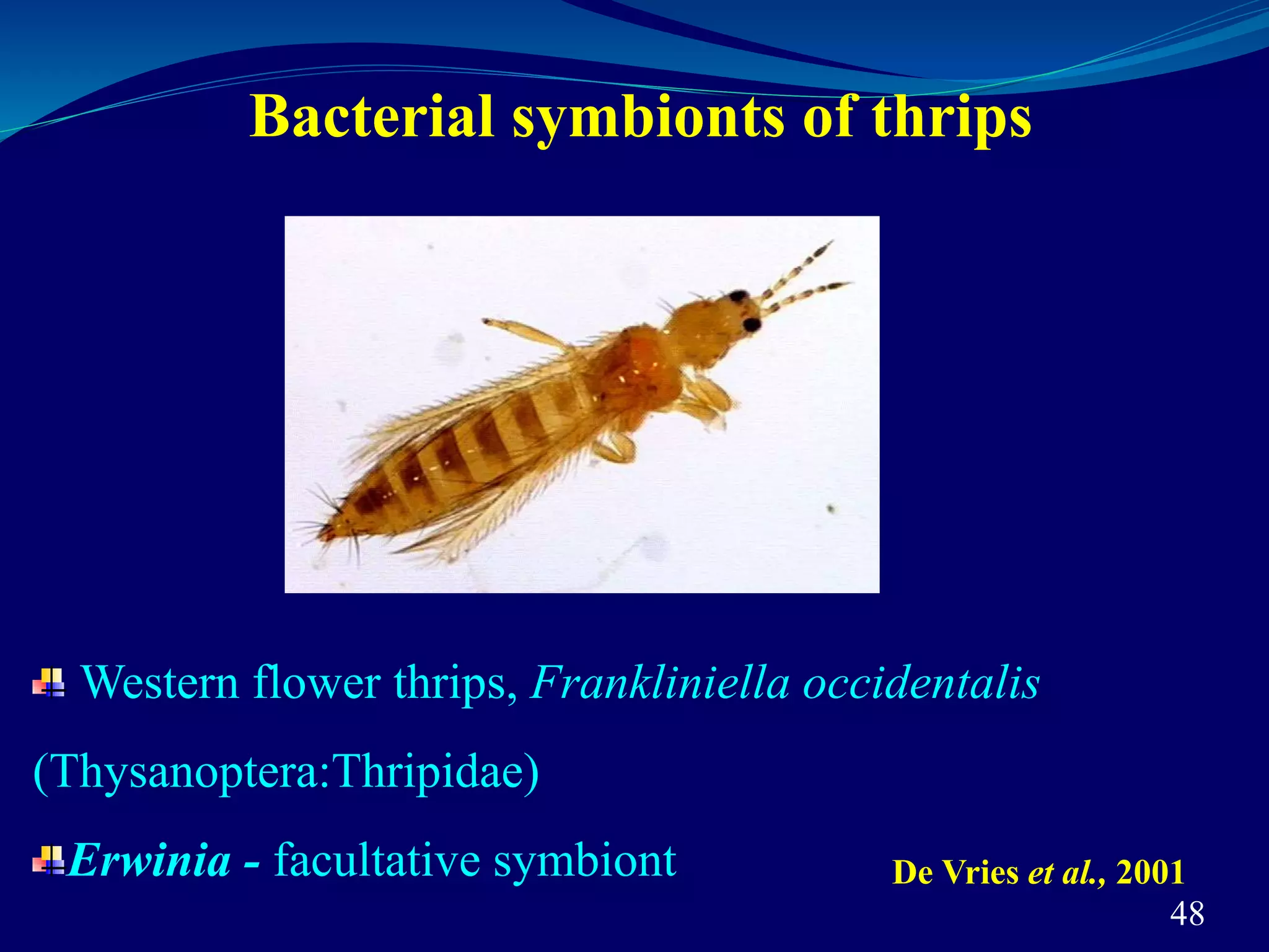 Bacterial symbionts in vector and its role in plant virus transmission ...