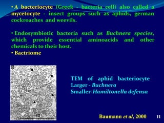 Bacterial symbionts in vector and its role in plant virus transmission ...
