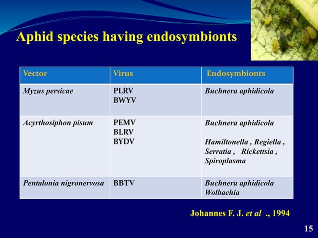 Bacterial symbionts in vector and its role in plant virus transmission ...
