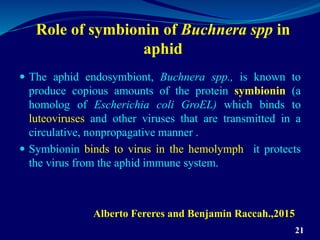 Bacterial symbionts in vector and its role in plant virus transmission ...