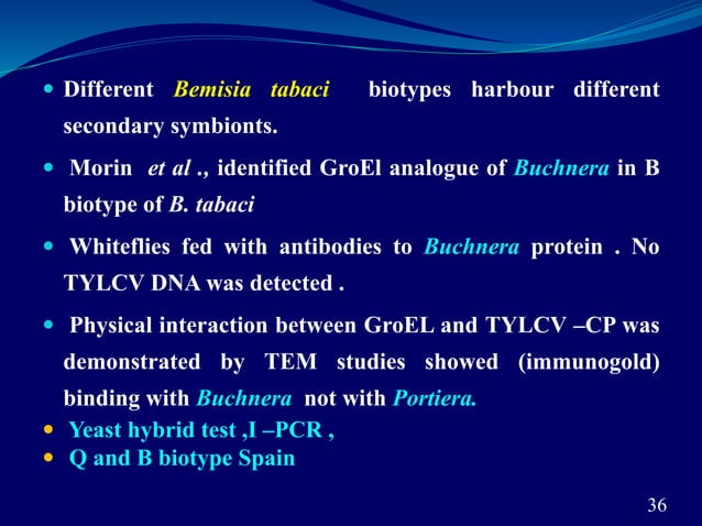 Bacterial symbionts in vector and its role in plant virus transmission ...
