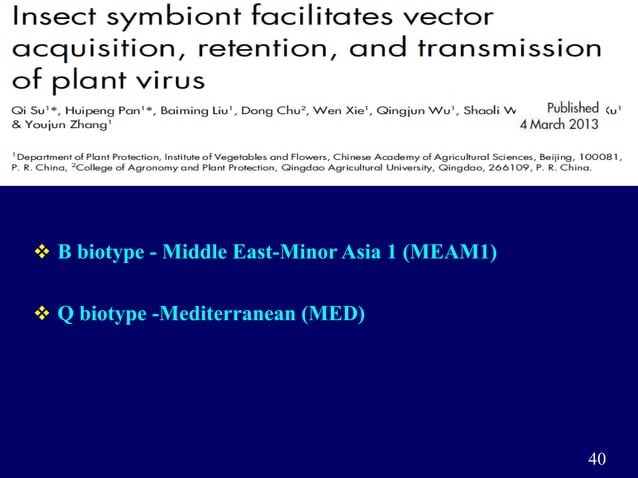 Bacterial symbionts in vector and its role in plant virus transmission | PPT