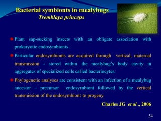 Bacterial symbionts in vector and its role in plant virus transmission ...