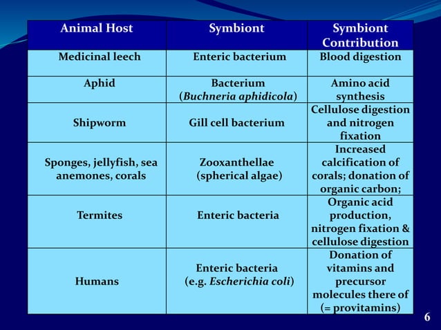 Bacterial symbionts in vector and its role in plant virus transmission ...