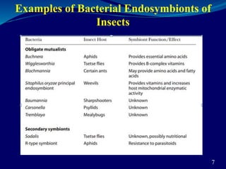 Bacterial symbionts in vector and its role in plant virus transmission ...