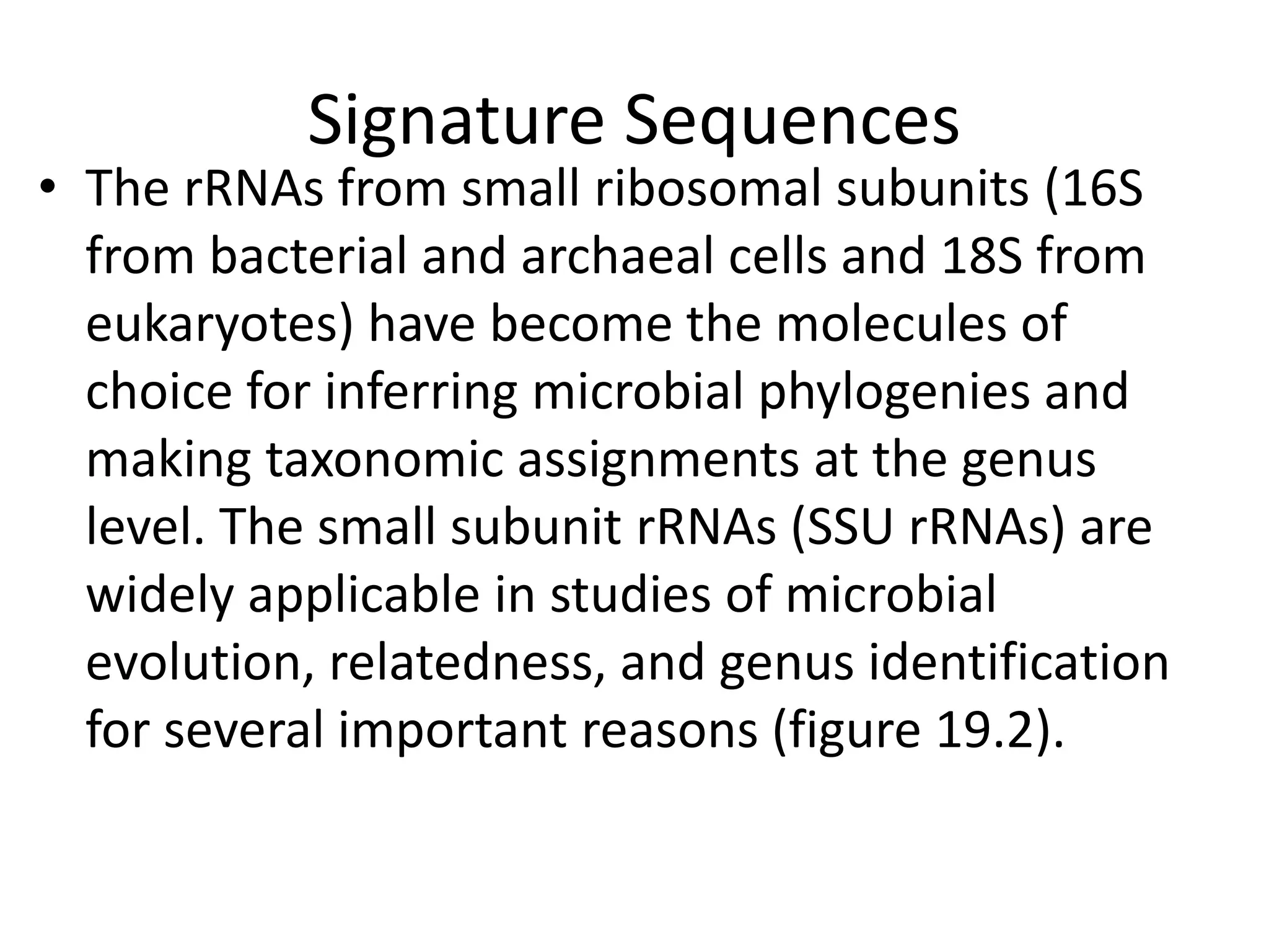 bacterial systematics in the diversity of bacteria | PPTX