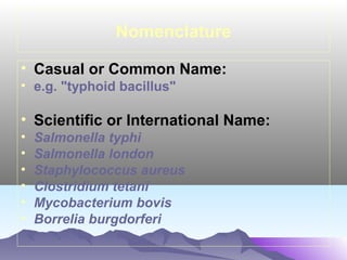 Bacterial taxonomy | PPT
