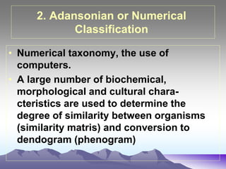 Bacterial taxonomy | PDF