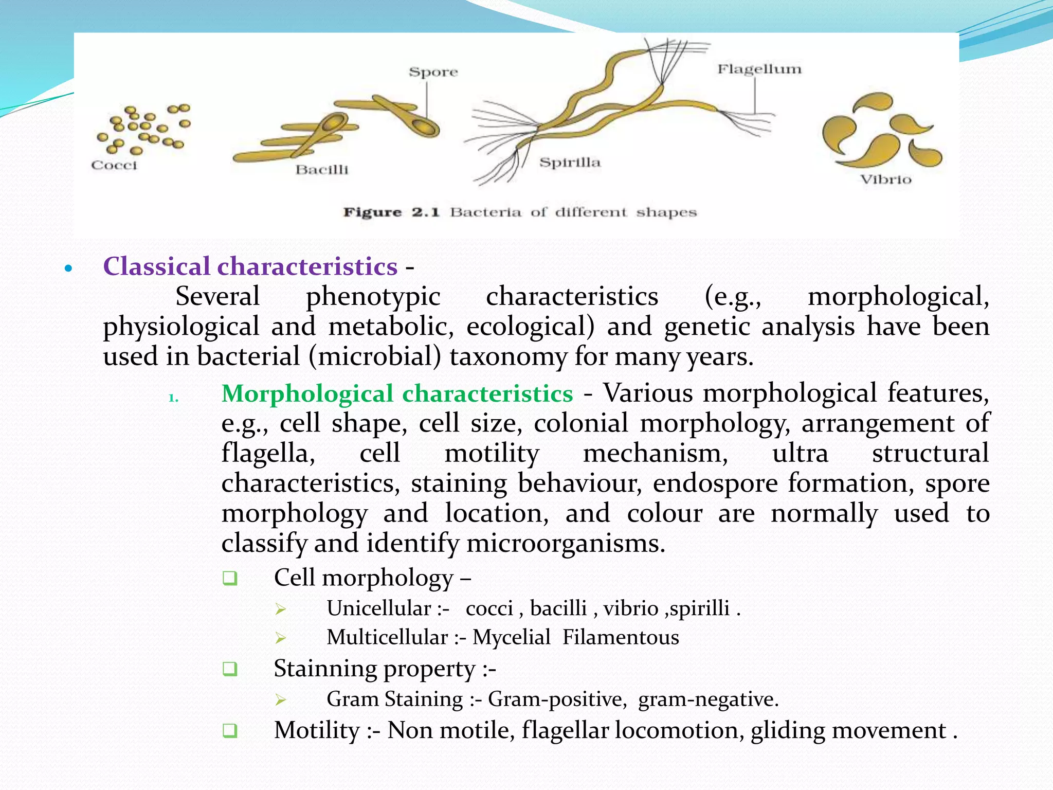 Bacterial taxonomy.pptx