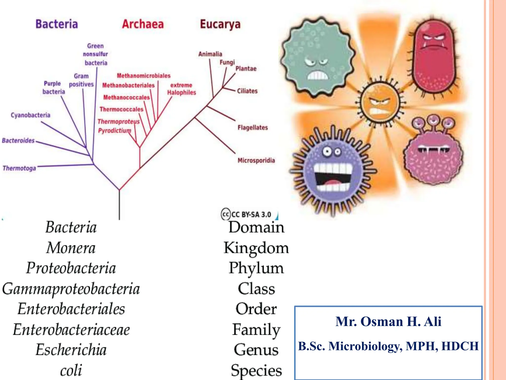 Bacterial taxonomy.pptx | Biological Sciences | Science