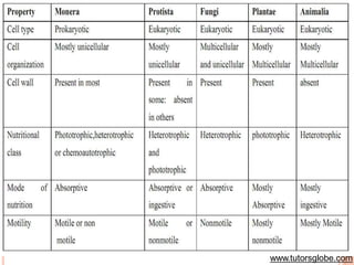 Bacterial taxonomy.pptx | Biological Sciences | Science