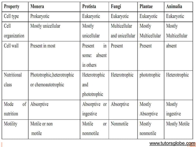 Bacterial taxonomy.pptx | Biological Sciences | Science