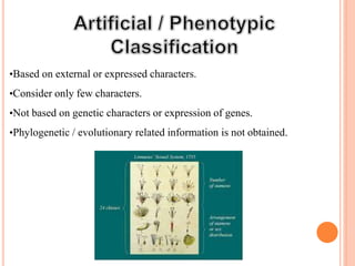 Bacterial taxonomy.pptx | Biological Sciences | Science