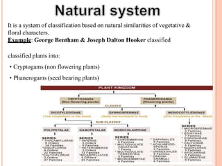 Bacterial taxonomy.pptx | Biological Sciences | Science
