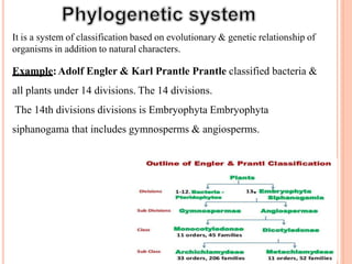 Bacterial taxonomy.pptx | Biological Sciences | Science