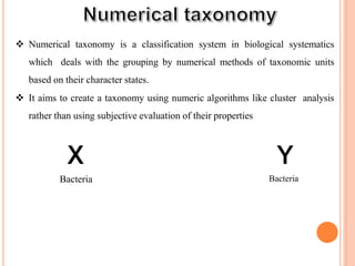 Bacterial taxonomy.pptx | Biological Sciences | Science