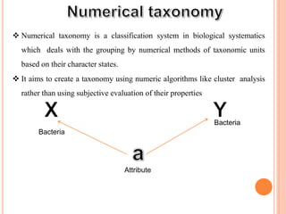 Bacterial taxonomy.pptx | Biological Sciences | Science