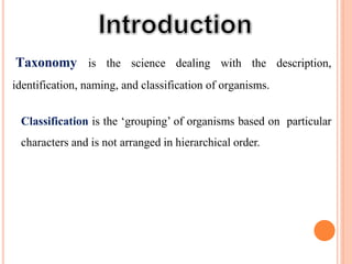 Bacterial taxonomy.pptx | Biological Sciences | Science