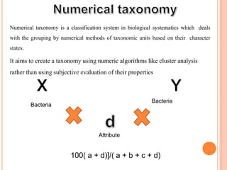 Bacterial taxonomy.pptx | Biological Sciences | Science