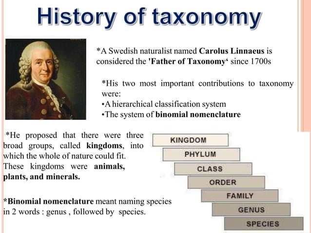 Bacterial taxonomy.pptx | Biological Sciences | Science