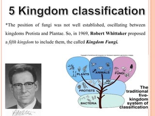 Bacterial taxonomy.pptx