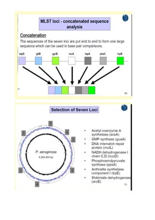 Bacterial Taxonomy.pdf
