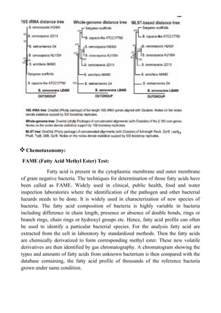 Bacterial Taxonomy.pdf